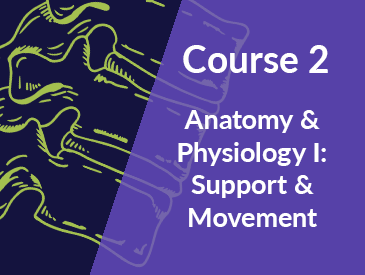 Human Anatomy and Physiology I | Online Course 1 | Rice U.