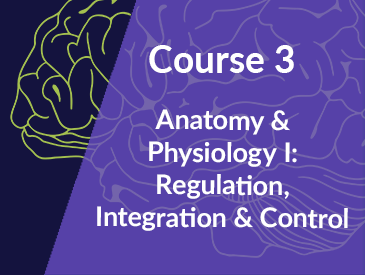 Human Anatomy and Physiology I | Online Course 1 | Rice U.